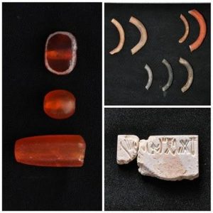 Harappan Excavation Sites Hold Clues To Unravelling Impressive And ...