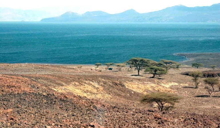 Oldest Evidence Of Warfare - Prehistoric Massacre In Kenya Discovered ...