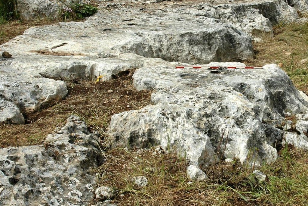 Earliest-Known Quarry Discovered In The Southern Levant ...