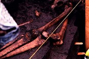 Windover Pond - Remarkable 8,000-Year-Old Underwater Cemetery In North ...
