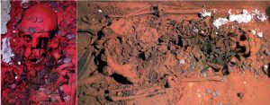 Elusive Red Queen Of Palenque Still Holds Ancient Secrets ...