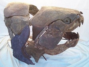 Our Jaw Evolved From Placodermi: A 423-Million-Year-Old Armored Fish ...