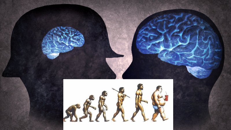 Why Did Our Brains Start Shrinking 20,000 Years Ago? - MessageToEagle.com