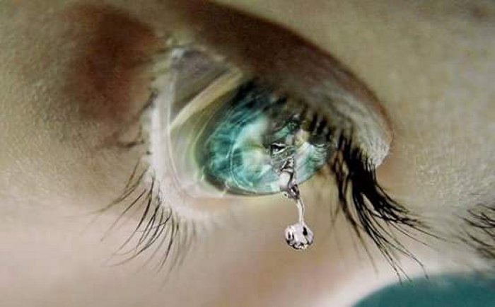 Large Bank With Frozen Tears Will Help To Unravel The Mystery Of Why We ...