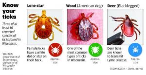 Dangerous 'Reverse Zombie' Tick Is Spreading Across USA ...