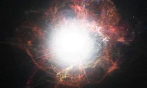 Zombie Stars – Unusual Space Objects That Refuse To Die Despite ...
