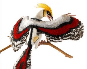 An Unknown Bird Dated To Jurassic Period And Capable Of Flight ...