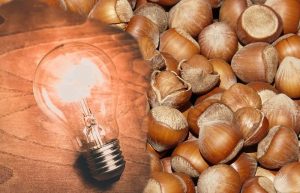 Turning Hazelnut Shells Into Potential Renewable Energy Source ...