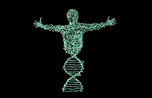 Decoding Human History With Ancient DNA - MessageToEagle.com