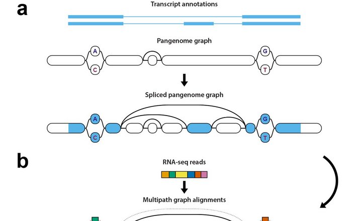 First-Ever Toolkit For RNA Sequencing Analysis Using A ‘Pantranscriptome’ - Produced By ...