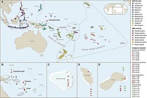 Stone Artifacts Reveal Long-Distance Voyaging Among Pacific Islands ...