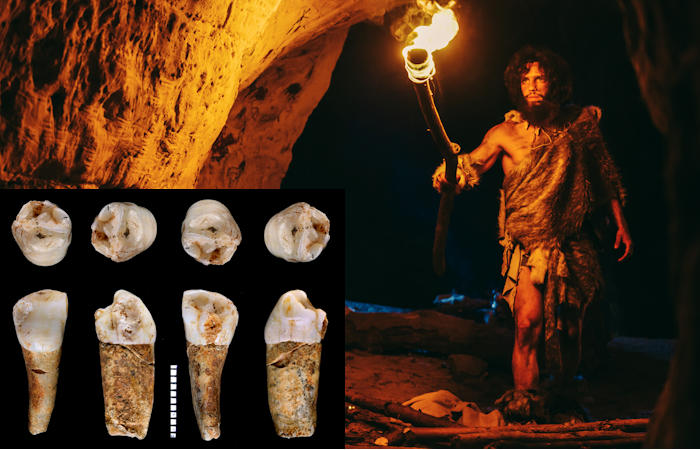 Tooth Enamel Provides Intriguing Clues To Hunter-Gatherer Lifestyle Of ...