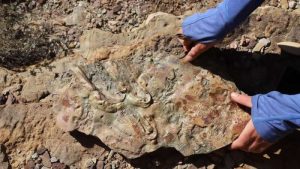 Geologists Update Textbooks With New Insights From Grand Canyon ...