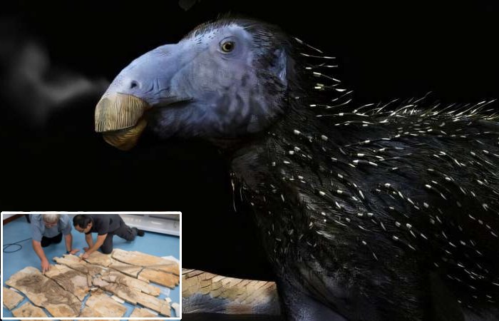 Dinosaur With Spikes Exhibiting Unprecedented Properties Discovered In ...