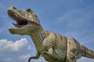 Why Did Meat-Eating Dinosaurs Like T. Rex Have Such Tiny Arms ...